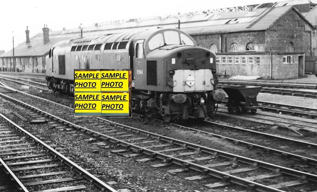 BRITISH RAILWAYS B&W Photograph (6x8)-Class 40 D244 at Gateshead Shed £ ...