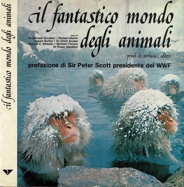 IL FANTASTICO MONDO degli animali. . A.A.V.V.. 1977. . EUR 8,00 ... IL FANTASTICO MONDO degli animali. . A.A.V.V.. 1977. . EUR 8,00 ...