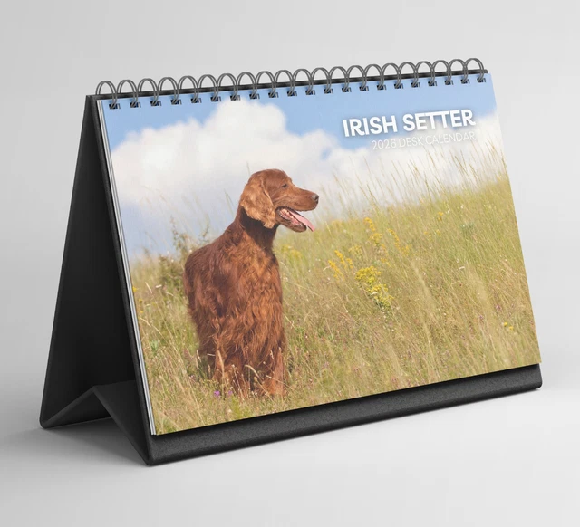 IRISH SETTER DESK Calendar 2026-2027: Standing Flip Desktop Calendar £ ...