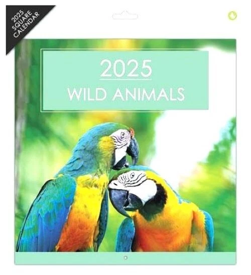 2025 WILD ANIMALS Square Wall Calendar Birds Lions Owls Parrots Bears ...