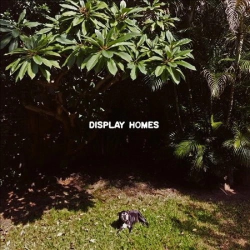 CLIMATE CHANGE BY DISPLAY HOMES [VINYL] £20.20 - PicClick UK