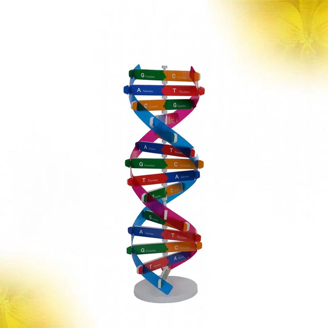 3 PACK HELIX Structure Dna Model Double Structural Design Upgrade Kit £ ...