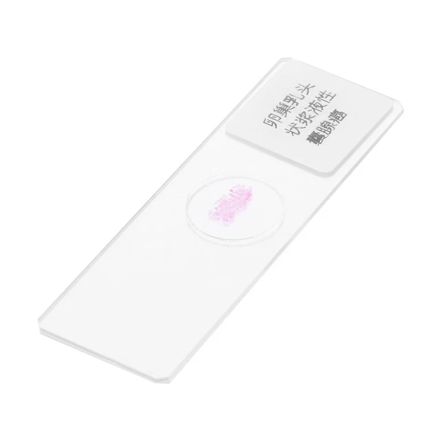 PATHOLOGY SECTION BIOLOGY Class Prop Microscope Accessories Glass Slide ...