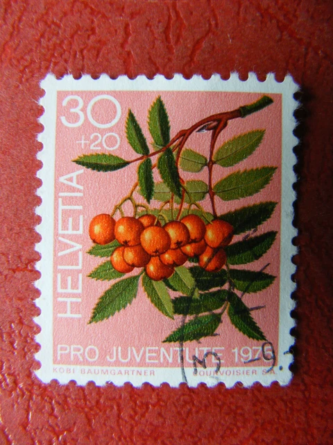 BRIEFMARKE WEIHNACHTEN SCHWEIZ Helvetia Pro Juventute 1975 Natur alt Wohlfahrt EUR 1,00 ...