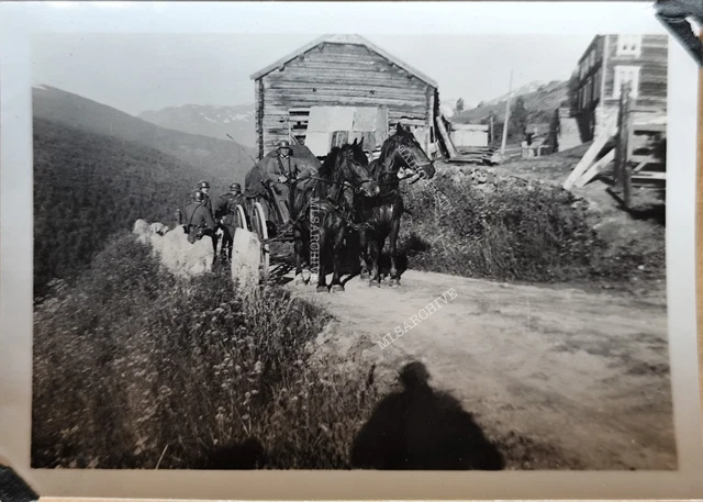 GJØRA GJÖRA OPPDAL Soldaten Pferde Norwegen Foto 2.WK F17 EUR 3,99 ...