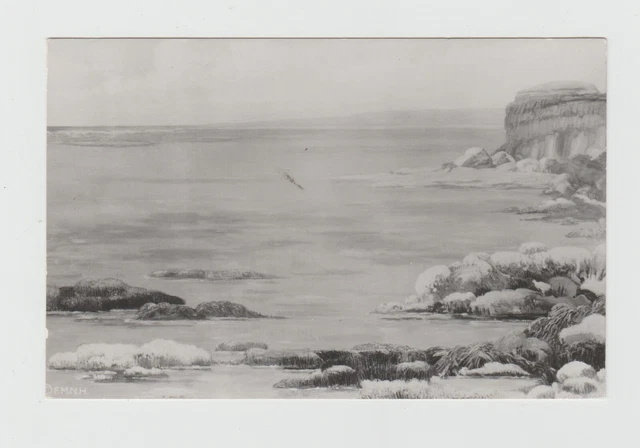 CHICAGO NATURAL HISTORY Museum, Artist Charles Knight, Vintage Postcard ...