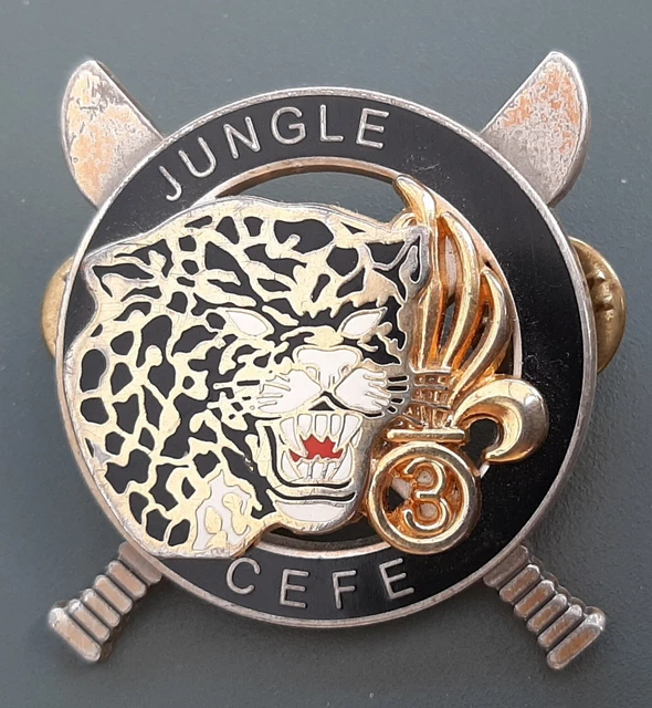3RD REI GUYANA Patent Commando JUNGLE LEGION FOREIGN ORIGINAL BADGE FFL ...