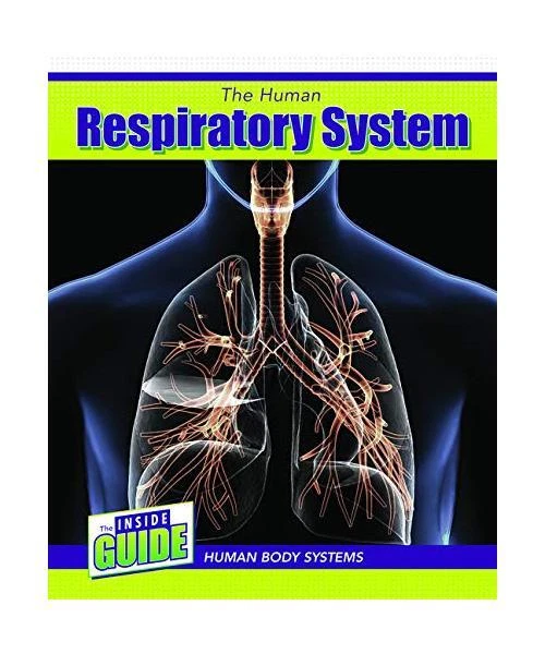THE HUMAN RESPIRATORY System (Inside Guide: Human Body Systems), Lawton ...