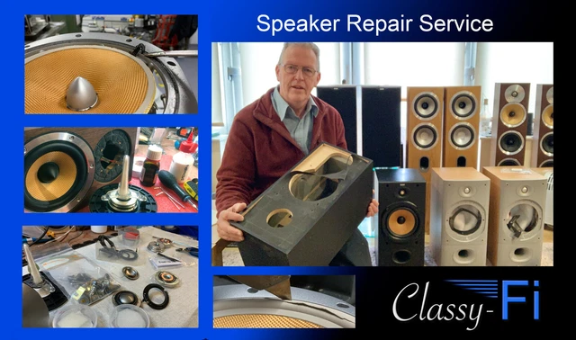 SPEAKER DRIVER REPAIR Service, Bass mid range -rubber surrounds, BW ...