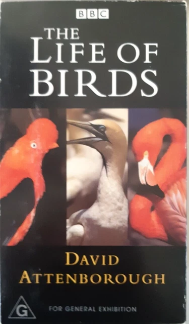 THE LIFE OF Birds Box Set 3 VHS Tapes BBC David Attenborough PAL 1998 ...