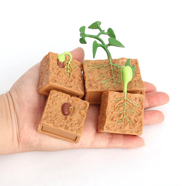 LIFE CYCLE OF Green Plant Statue Lifecycle Collection Gift Science Toy ...