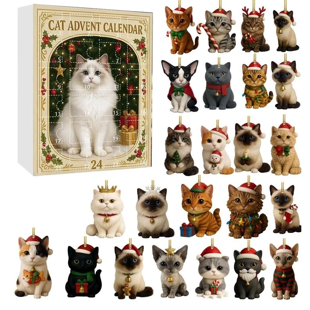 ADVENT CALENDAR 2025 24 Days Christmas Countdown with 24Pcs 2D Acrylic ...