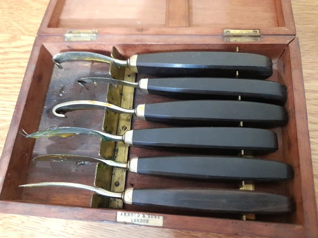 RARE AND UNIQUE Antique ARNOLD & SONS Veterinary Instrument Set £75.00 ...