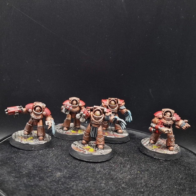 PRO PAINTED WARHAMMER 40k Minotaurs Cataphractii terminator ×5 A8 games ...