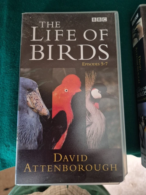 THE LIFE OF Birds (BBC David Attenborough) On VHS Video Cassette Tape ...