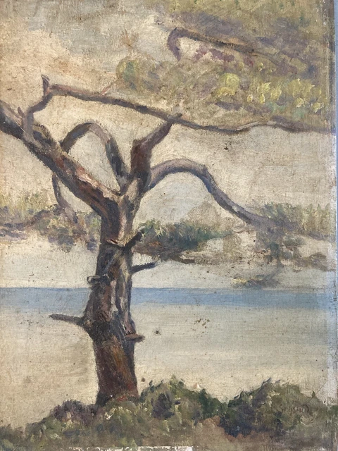 BEAUTIFUL OIL PAINTING Wood Panel 1920 Landscape Ancient Tree Signed to ...
