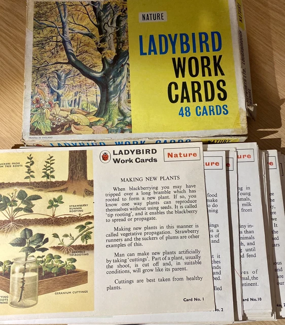 VINTAGE LADYBIRD NATURE Work Cards boxed complete with 48 cards £6.50 ...