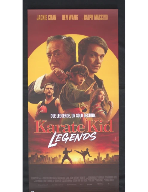 AFFICHE KARATE KID LEGENDS Ralph Macchio Jackie Chan Ben Wang B348 EUR 39,74 - PicClick FR