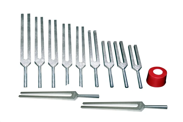 🌟 NON PONDÉRÉ Planetary Tuning Fourches – Cosmic Précis Luxe ...