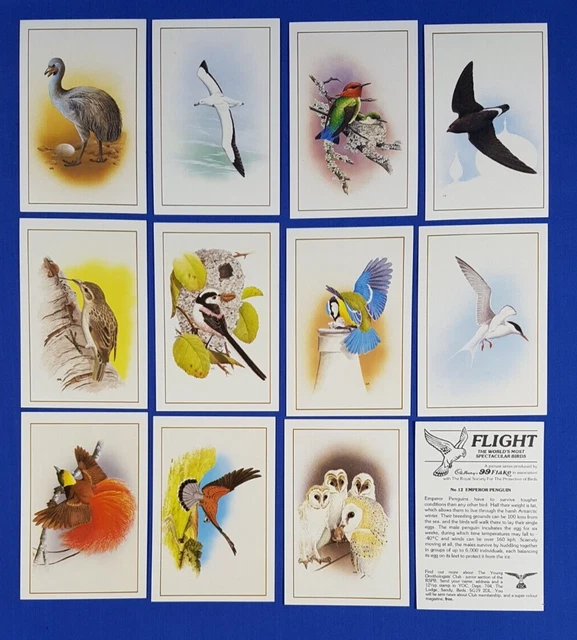 CADBURY 99 FLAKE Cards FLIGHT -THE WORLDS MOST SPECTACULAR BIRDS set of ...