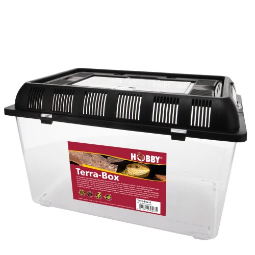 BOÎTE DE TRANSPORT Rangement Animaux de Terrarium Reptiles Amphibiens ...