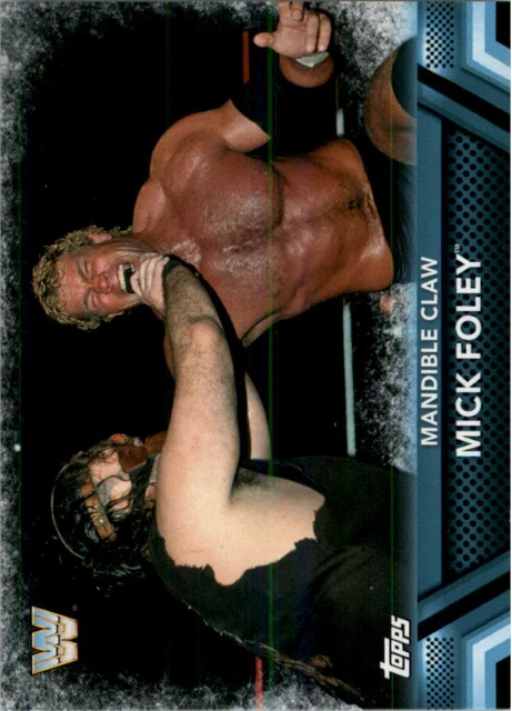 2017 TOPPS WWE Then Now Forever Finishers and Signature Moves #F21 Mick Foley EUR 1,87 - PicClick FR
