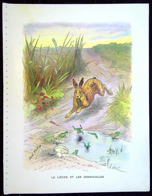 INCISIONE DEI FABLES Da Jean Da La Fontana, la Lepre E Frogs EUR 8,47 ...