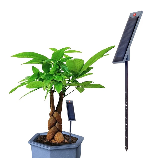 SOIL MOISTURE METER with Solar Power for Continuous Monitoring of ...