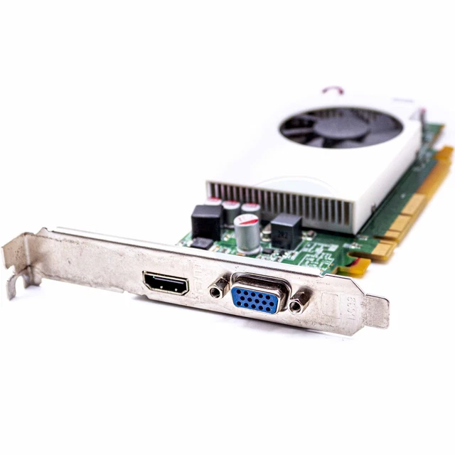 AMD RADEON HD 8570 2gb Low Profile VGA+HDMI Video Card Editin ...