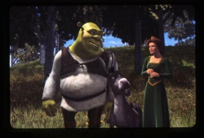 SHREK DREAMWORKS DONKEY Princess Fiona Original 35mm Transparency ...