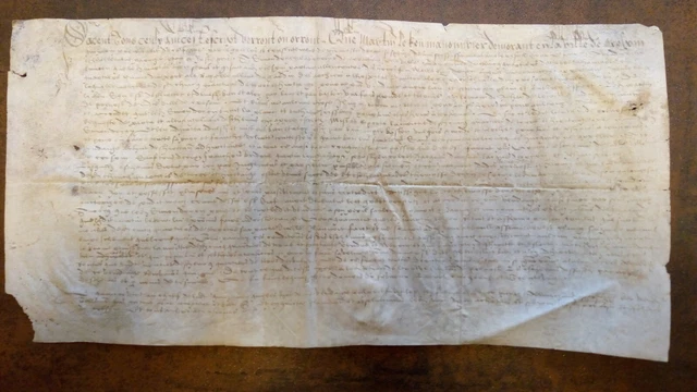 CHARTE PARCHEMIN CHIROGRAPHE de 1531 EUR 39,00 - PicClick FR