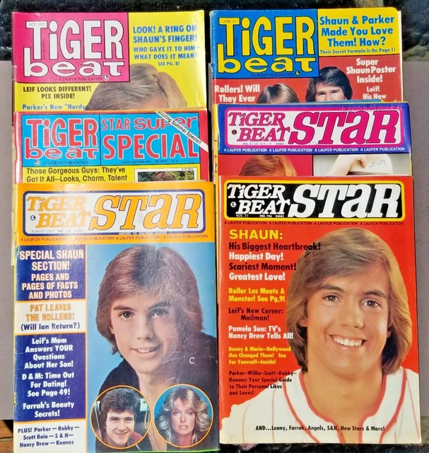 1970er Jahre Teen Magazine Menge 6 Tiger Beat Shaun Cassidy Scott Baio Leif Garrett Eur 552