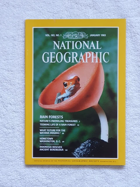NATIONAL GEOGRAPHIC JANUARY 1983 Rain Forests Jungle Life Wayana ...