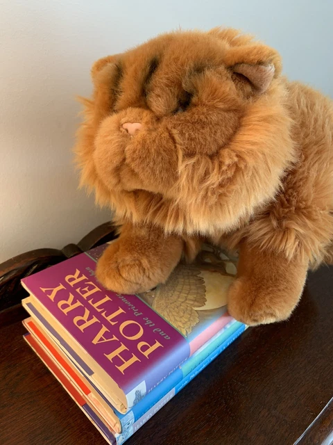 HARRY POTTER CROOKSHANKS Cat Plush Hermione Warner Bros Tour Official ...