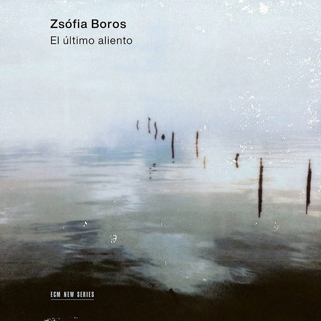 ZSOFIA BOROS ZSÓFIA Boros: El Último Aliento (CD) Album EUR 24,40 - PicClick FR