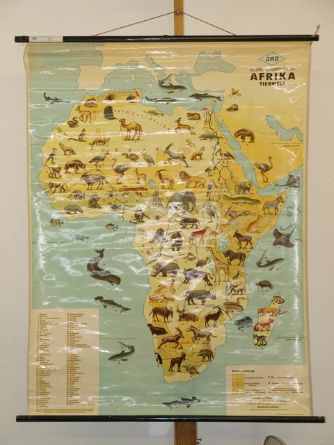 SCHULWANDKARTE WALL MAP Picture Card Bildwandkarte Africa Animal World ...