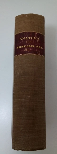 GRAY'S ANATOMY, HENRY Gray 1883, 10e édition reliée en tissu, Longmans ...