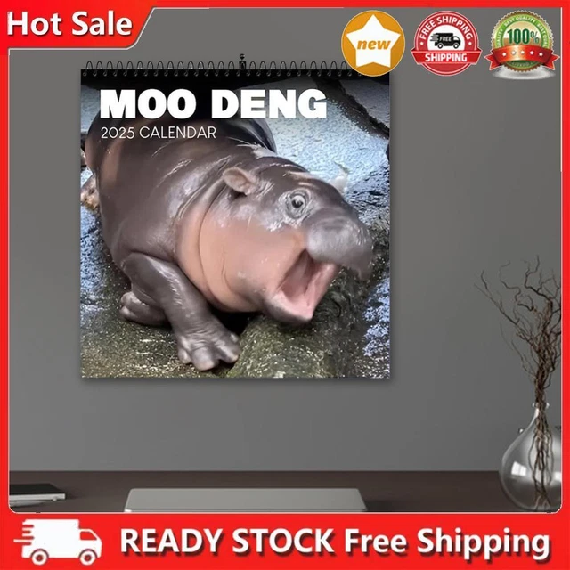 2025 MOO DENG Calendar Hippo Wall Calendar Hanging Wall Calendar UK £6. ...