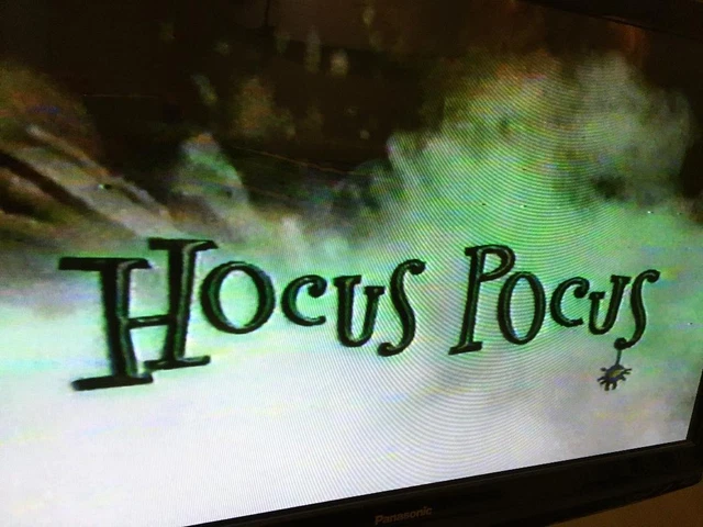 HOCUS POCUS 1999 ABC with Commercials Horror Halloween VHS Blank $14.99 ...