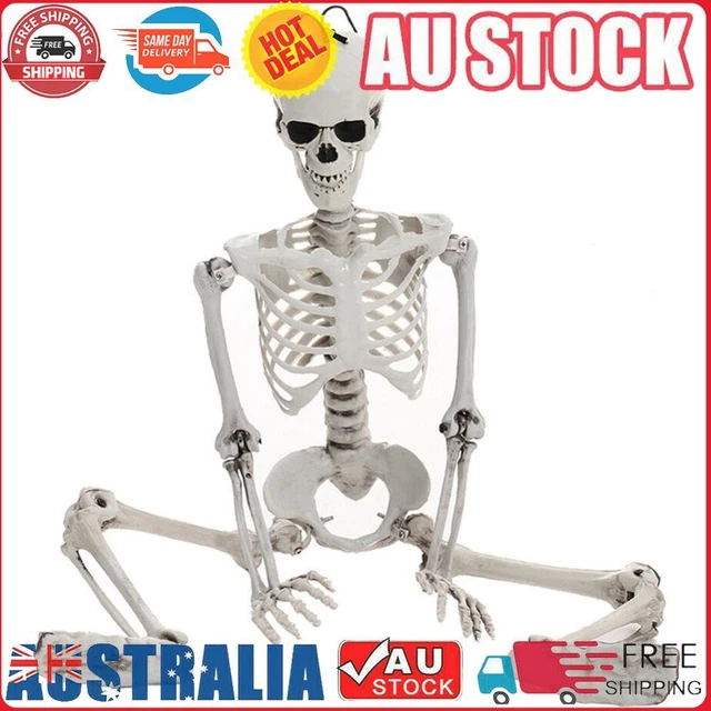 FULL LIFE SIZE Fake Human Skull Bones Poseable Horror Halloween ...