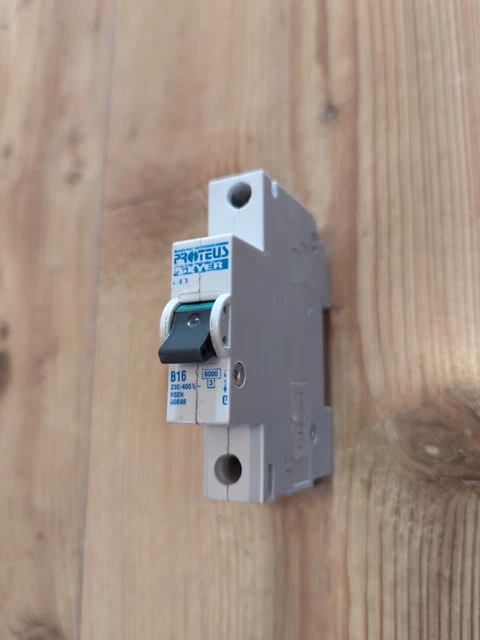 32 Amp RCBO Interruttore MCB Proteus Geyer Serie BW - Monopolare, 230V ...