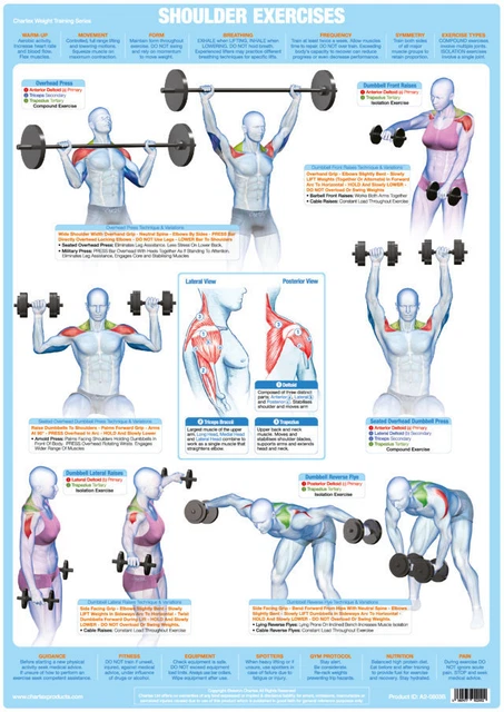 BODY BUILDING SHOULDER Muscles Poster Weight Training Exercise Chart £ ...