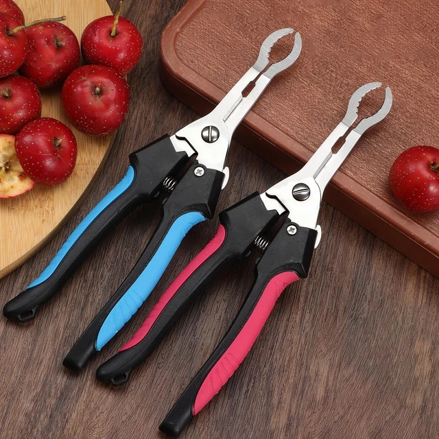 HAWTHORN CORER EASY to Use Durability Practical, Sturdy, Ergonomic ...