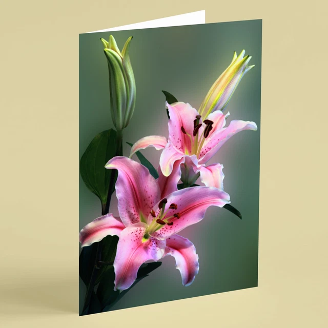 PINK LILIES / lily flower birthday card for mum sister grandmother ...