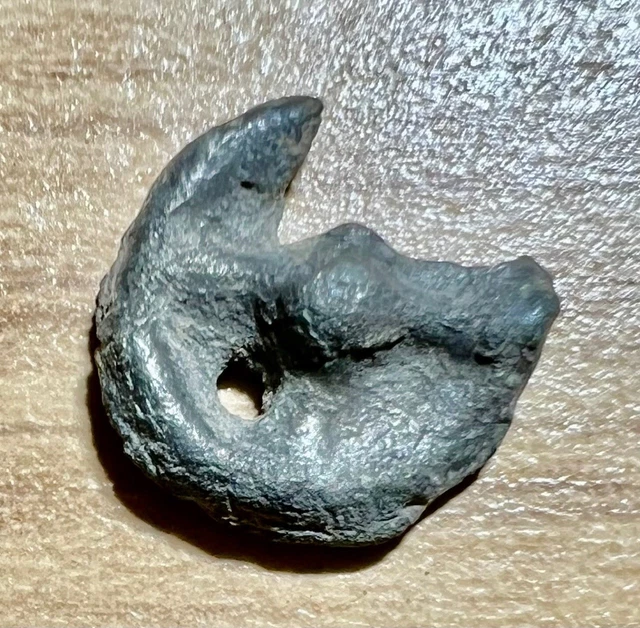 SALE! ISTROS Moesia Inferior, Autonomous Issue - Istros Wheel. SCARCE ...