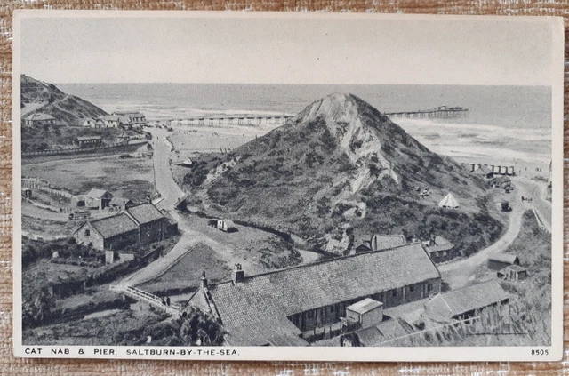 POSTCARD SALTBURN-BY-THE-SEA CAT Nab and Pier original Yorkshire EUR 7 ...