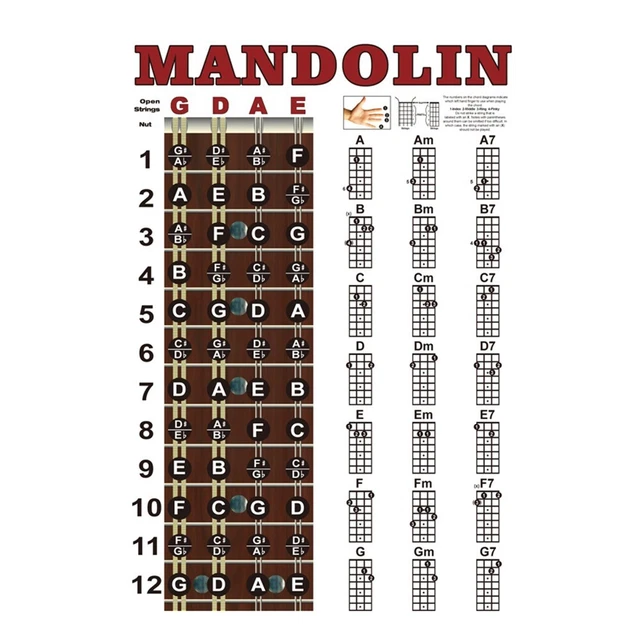 CHORDS POSTER CHORDS Chart Easy-to-read Format Mandolin Chords ...