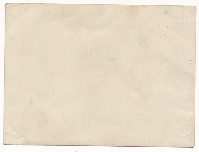 136145: FOTO ZEPPELIN mit "Trumpf-Schokolade" Werbung, Kennung D-PN28 ...