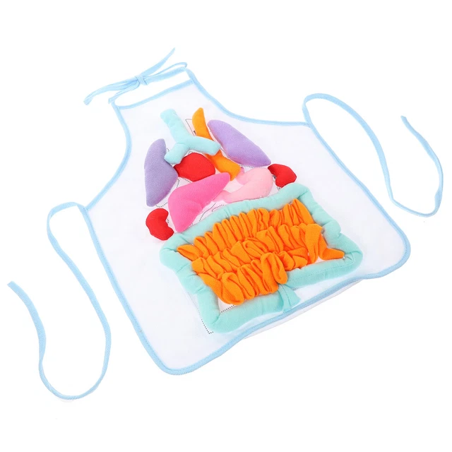 KIDS ANATOMY APRON Human Organs Internal Model Teaching Child £21.46 ...