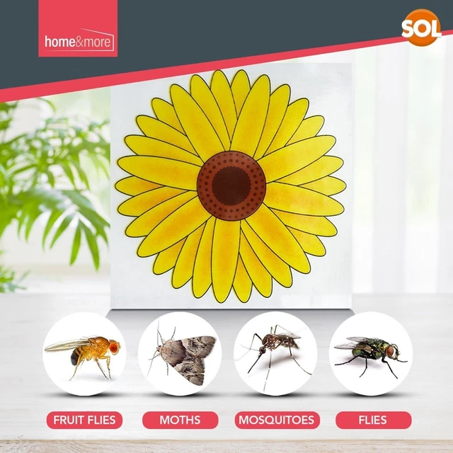 10-50X FLY TRAP Window Stickers Sticky Sunflower Insect Bug Flies ...